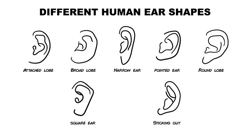 La forme de vos oreilles révèle beaucoup de choses sur votre ...